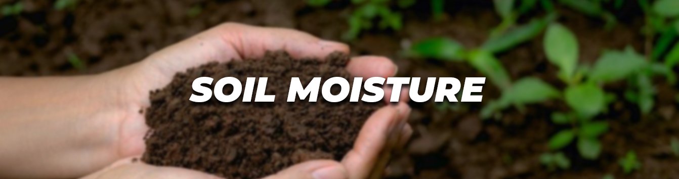 SOIL MOISTURE - LOGGERINDO Indonesia